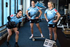 66fit Professional Inversion Table